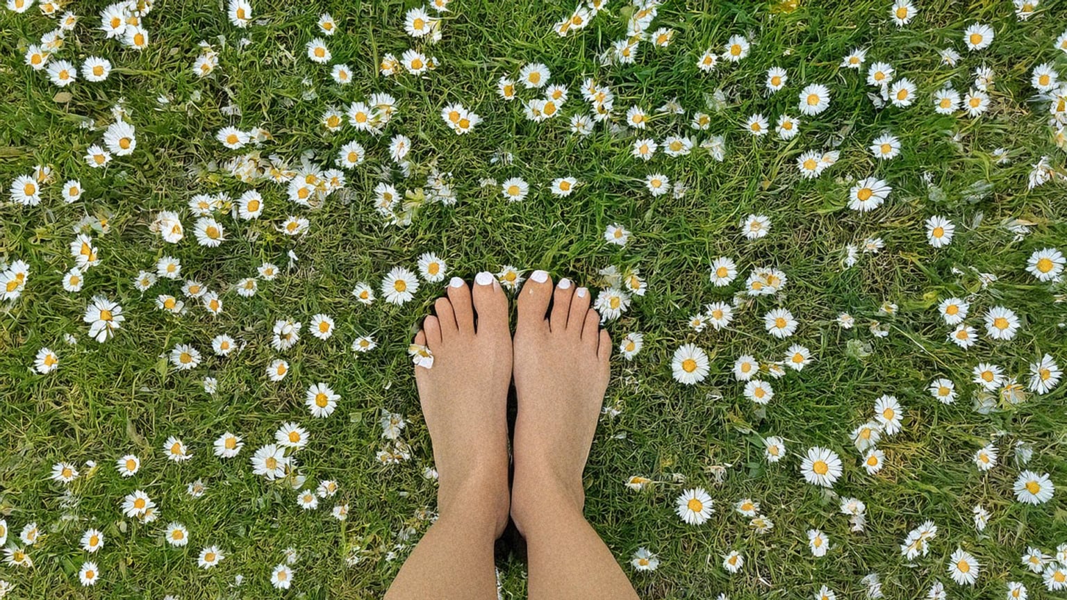 Grounding in Green: Why Touching Nature Heals - Impact Mental Health